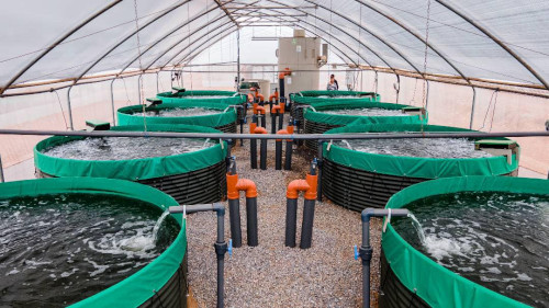 Seafood Media Group - Worldnews - President Akufo-Addo opens ultra-modern national aquaculture ...